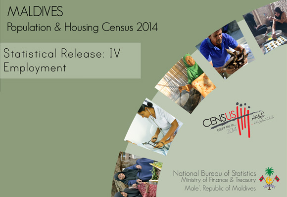 Statistical Release IV: Employment